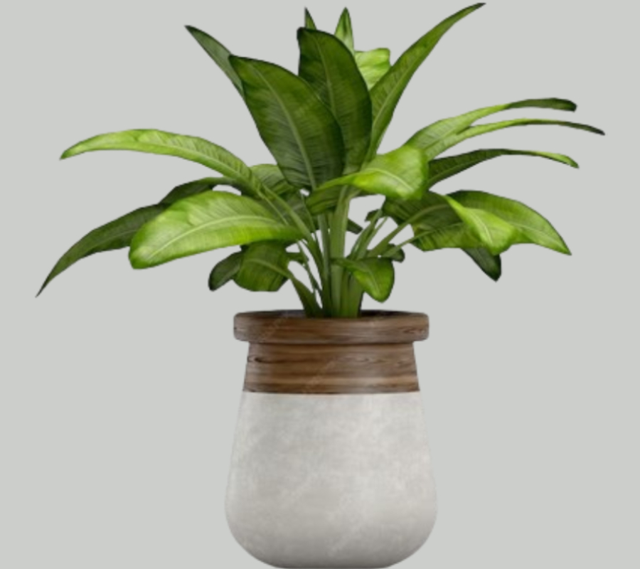 Blossom Your Garden: Plant and Nursery Website Templates | Vibrant Designs